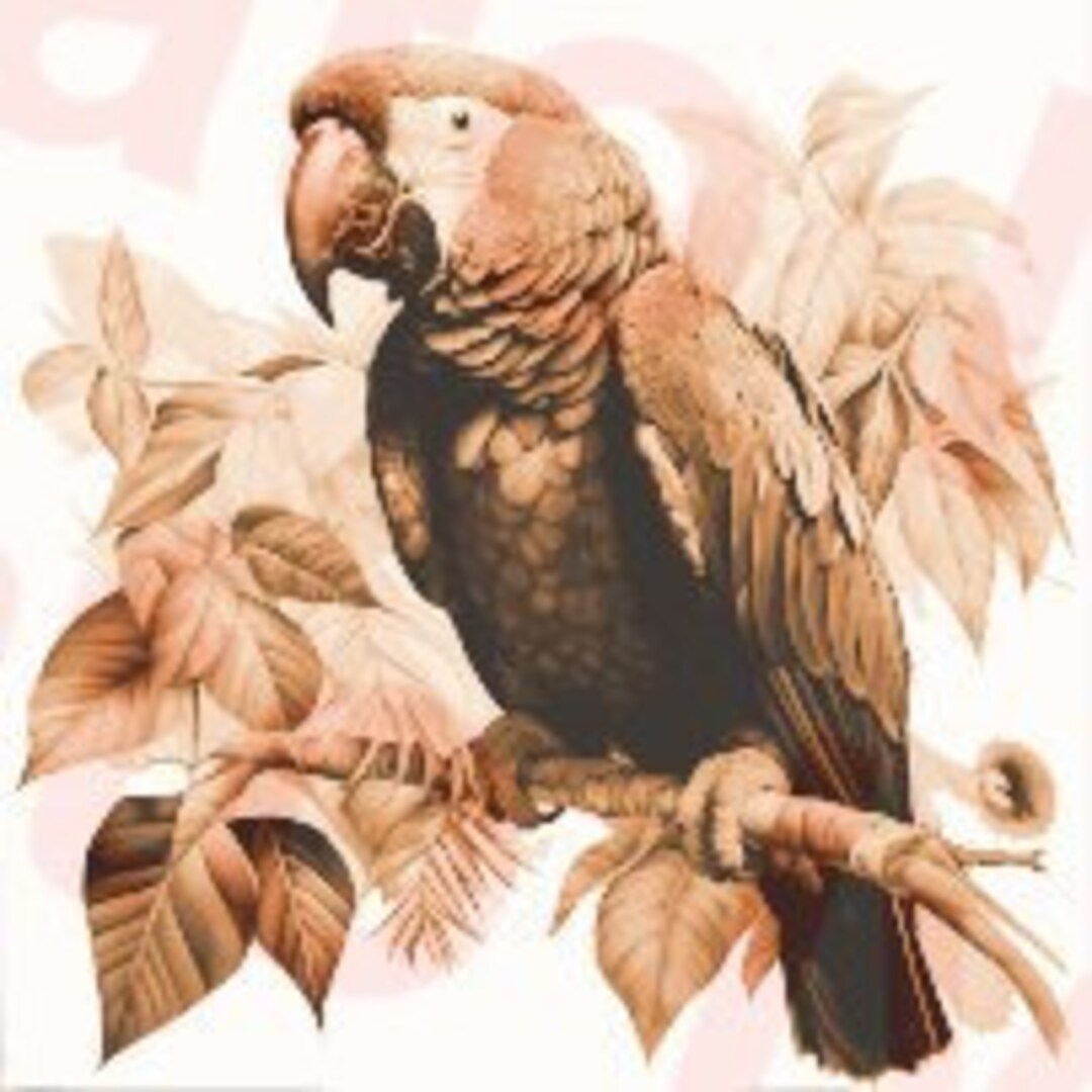 Parrot Laser Burn PNG | Digital Vector Design | Xtool | Glowforge ...