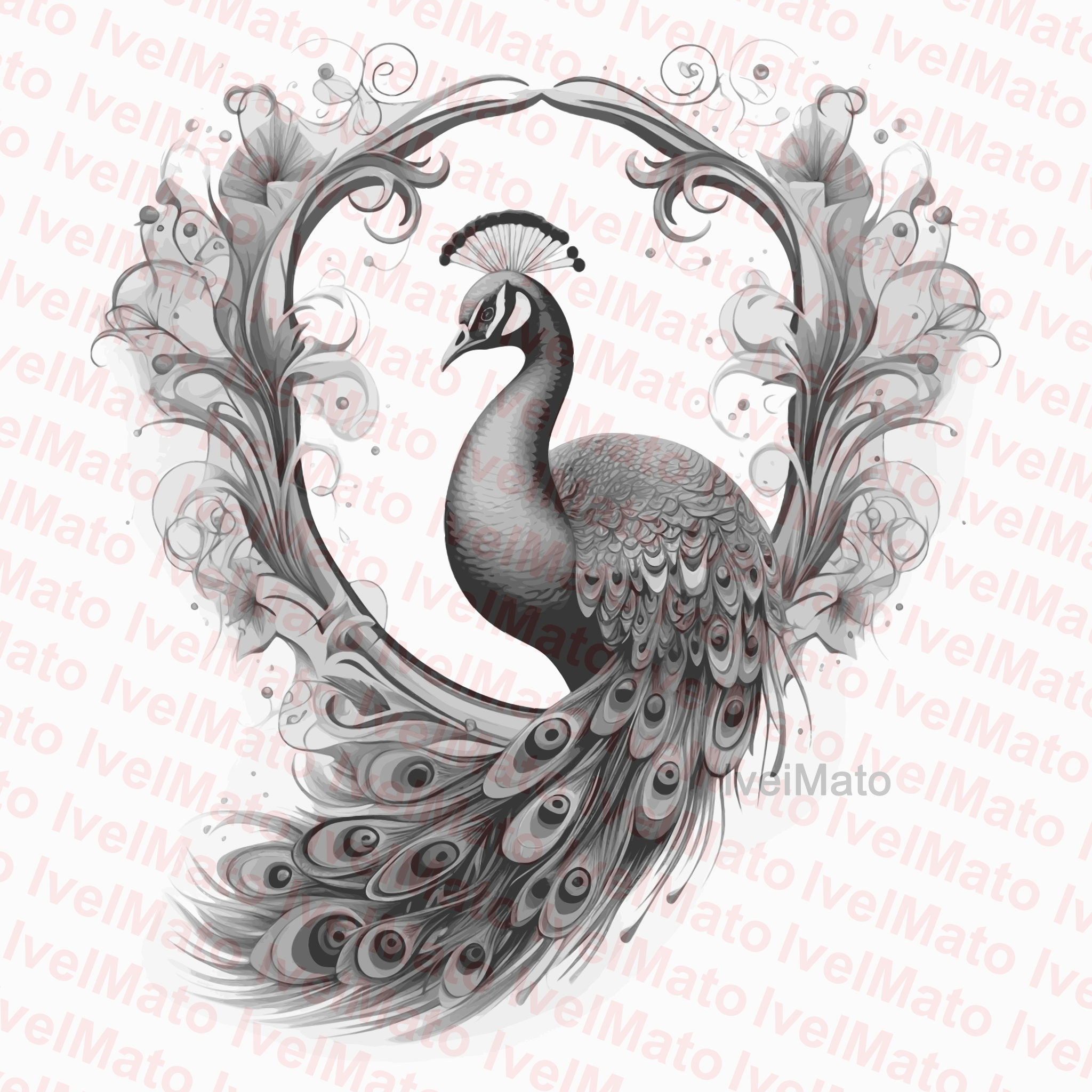 Elegant Peacock Laser Burn PNG Digital Vector Design Xtool Glowforge ...