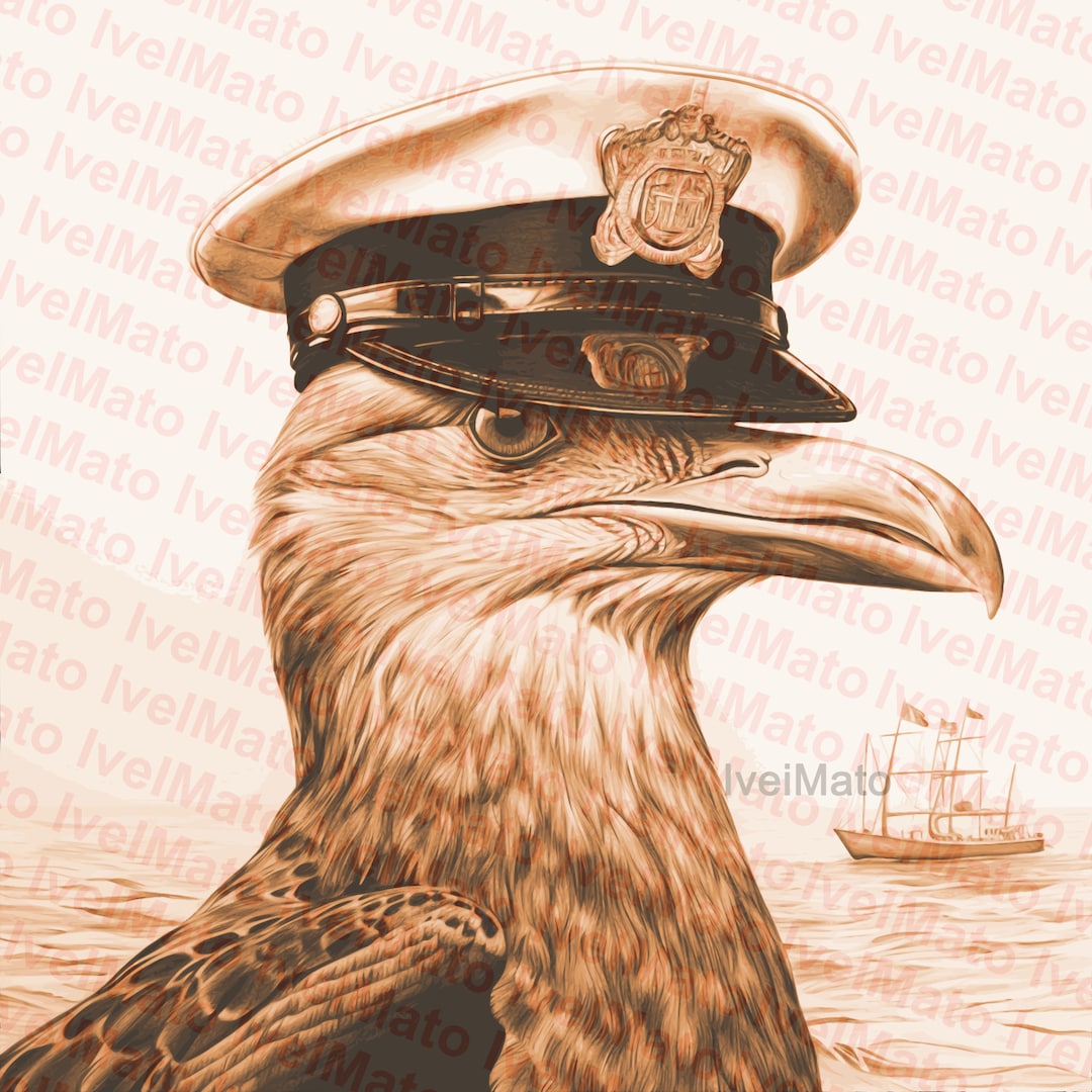 Captain Seagull Laser Burn PNG | Digital Vector Design | Xtool ...