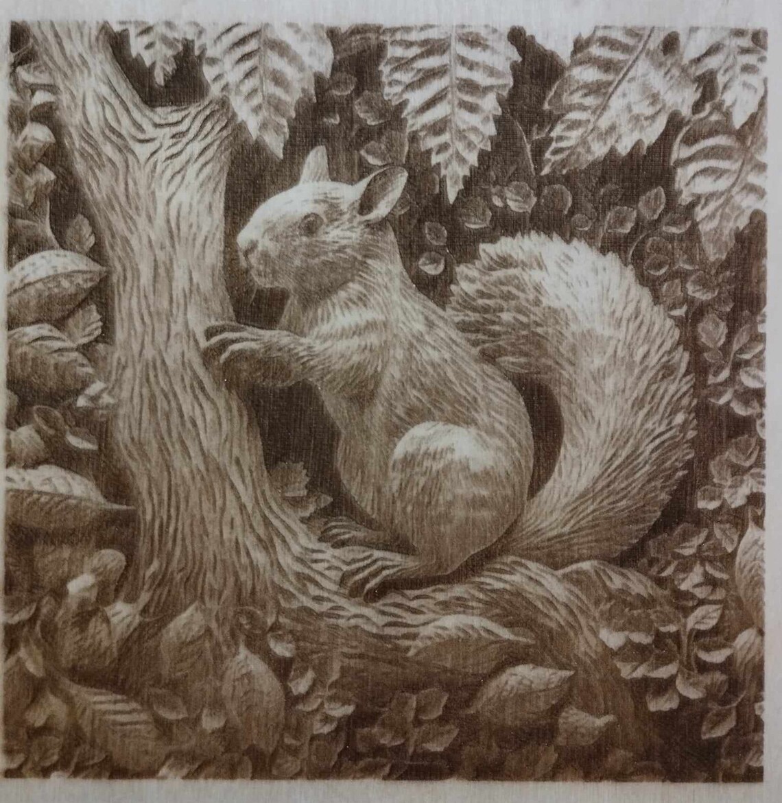 Laser Burn PNG Squirrel Digital Design Engrave Xtool Glowforge ...