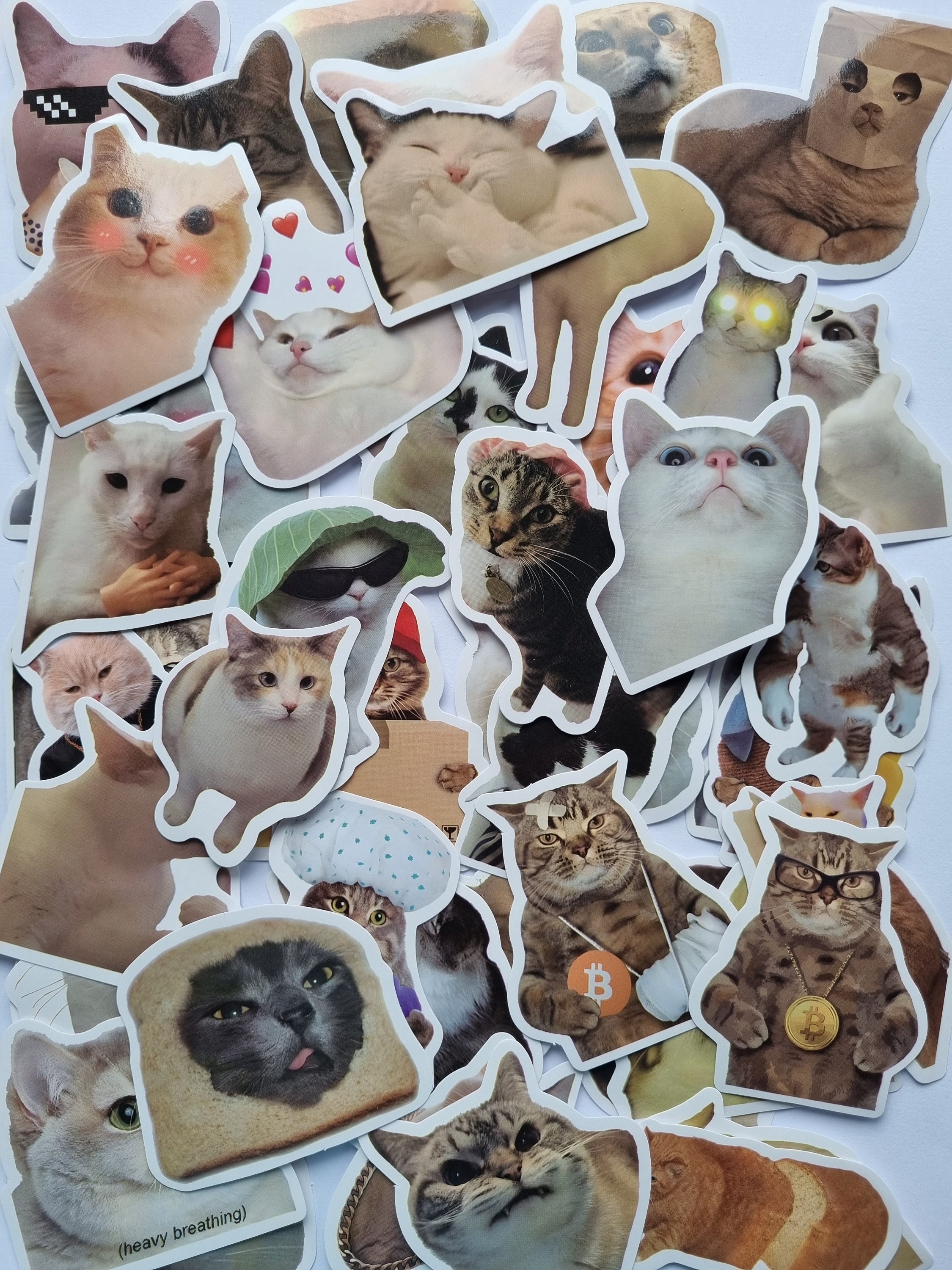 50 Funny Cats Stickers for Scrapbooking,diary,planner,craft,self ...