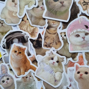 60 Cute Cats Stickers for Scrapbooking,diary,planner,craft,self ...