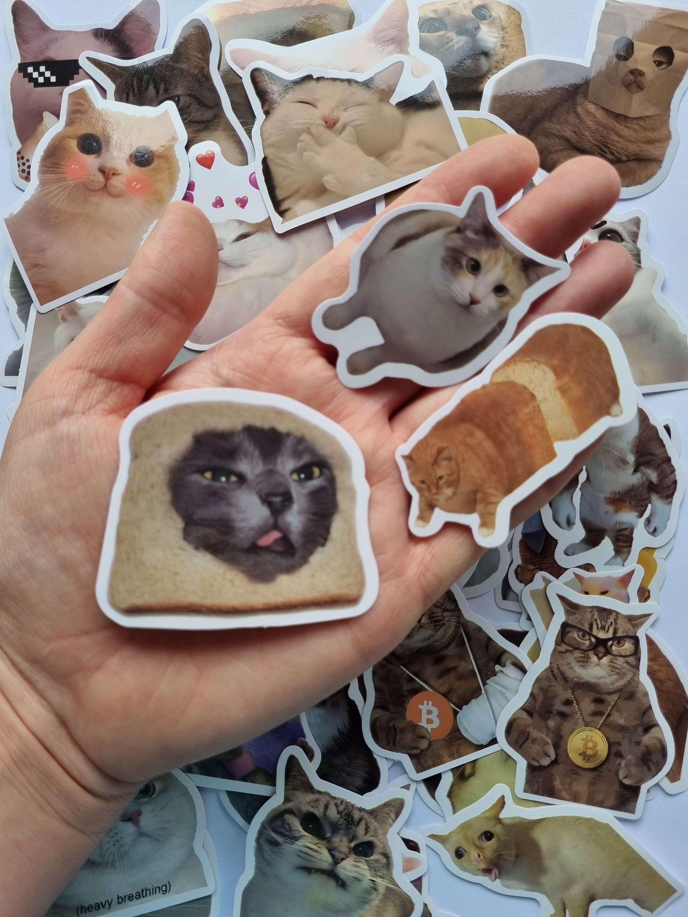 50 Funny Cats Stickers for Scrapbooking,diary,planner,craft,self ...