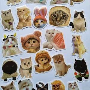 60 Cute Cats Stickers for Scrapbooking,diary,planner,craft,self ...