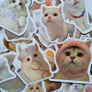 60 Cute Cats Stickers for Scrapbooking,diary,planner,craft,self ...