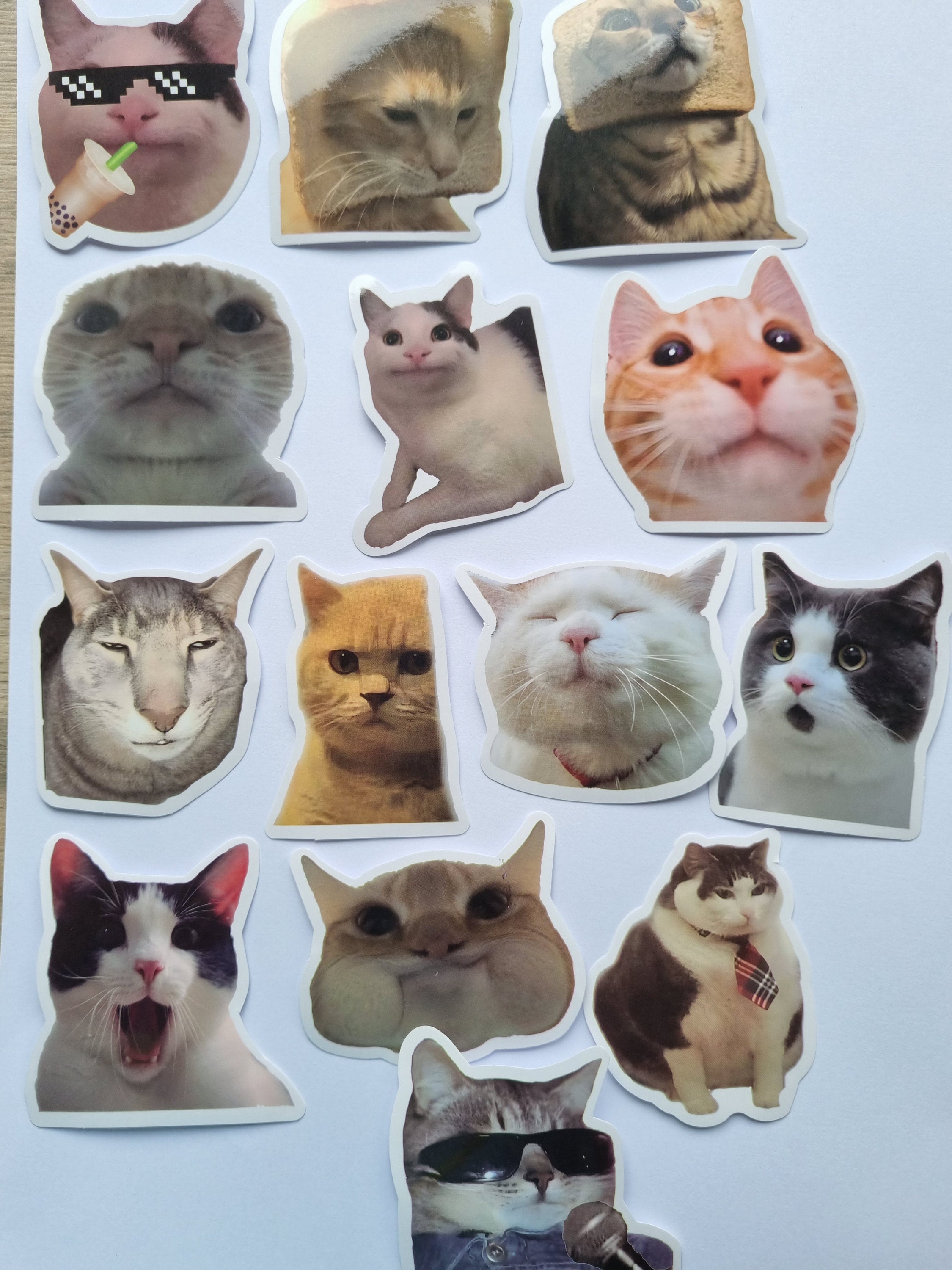 50 Funny Cats Stickers for Scrapbooking,diary,planner,craft,self ...