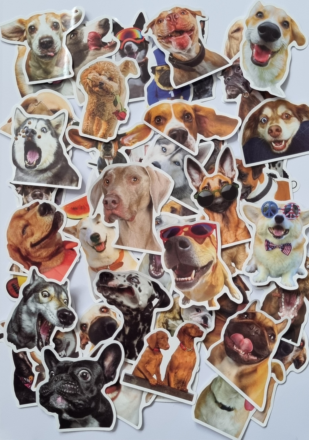 50 Funny Dog Stickers for Scrapbooking,diary,planner,craft,self ...
