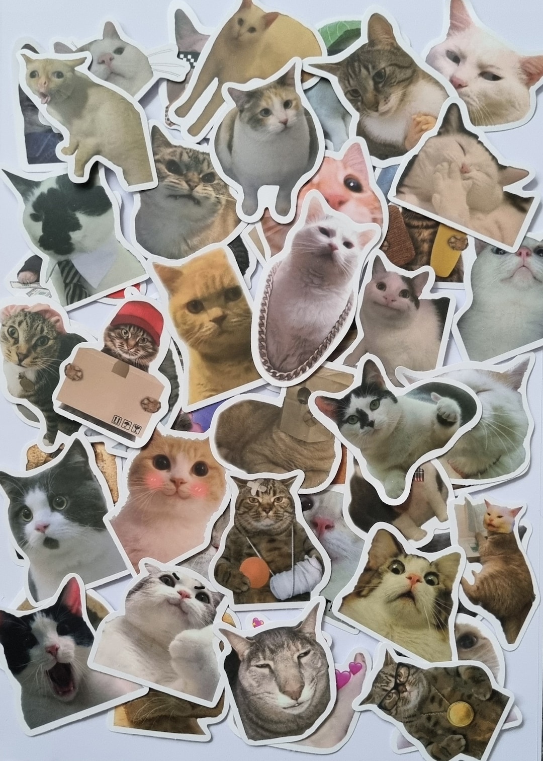 50 Funny Cats Stickers for Scrapbooking,diary,planner,craft,self ...