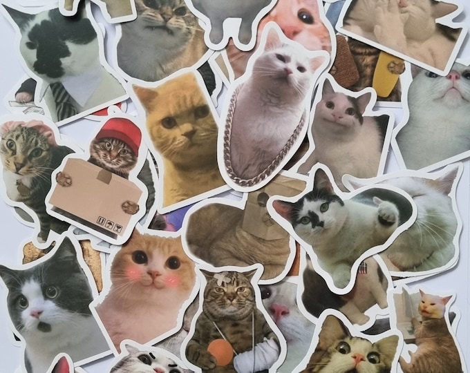 50 Funny Cats Stickers for Scrapbooking,diary,planner,craft,self ...