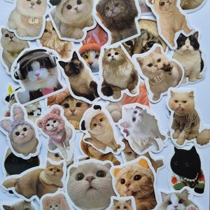 60 Cute Cats Stickers for Scrapbooking,diary,planner,craft,self ...
