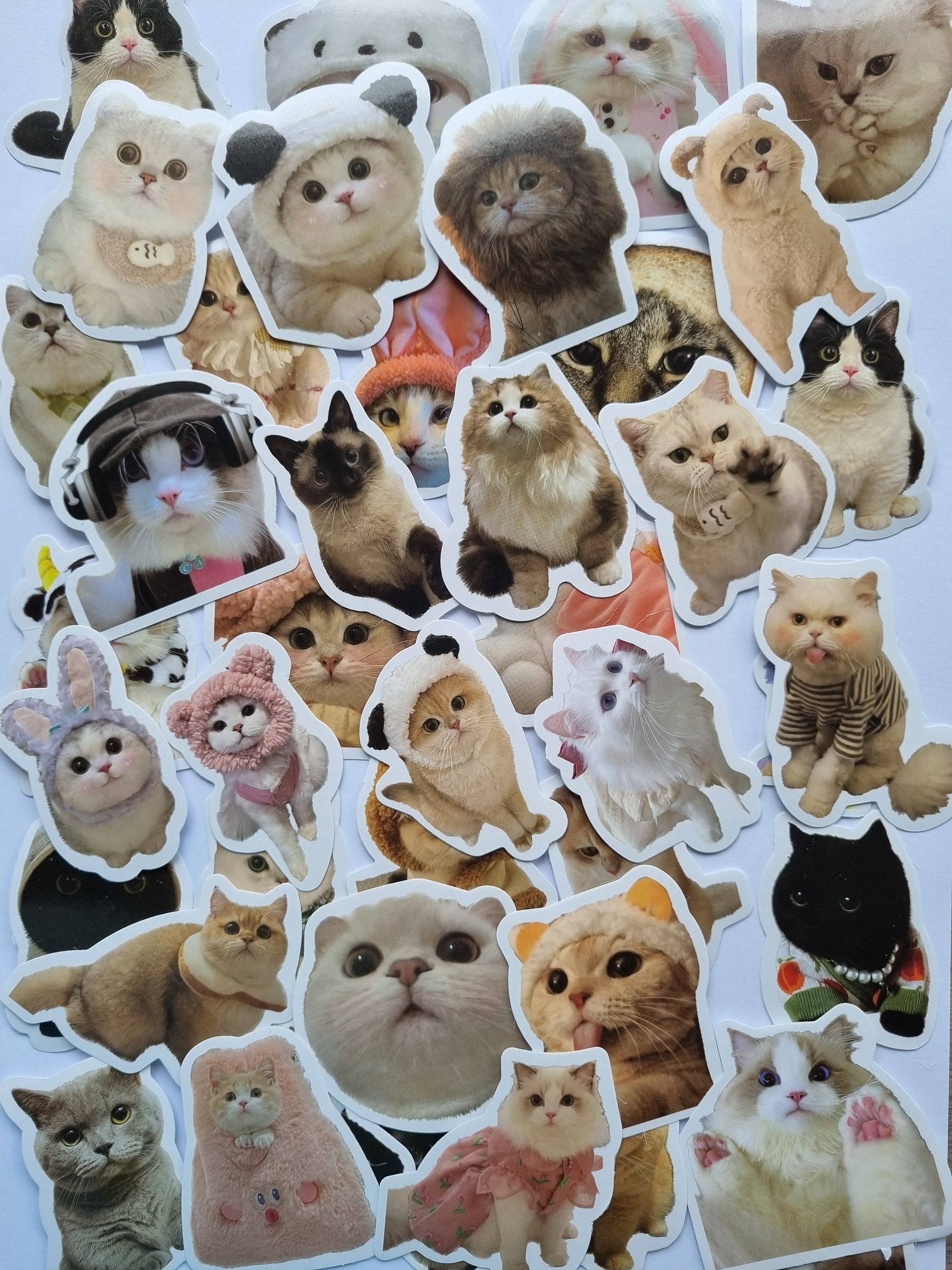 60 Cute Cats Stickers for Scrapbooking,diary,planner,craft,self ...