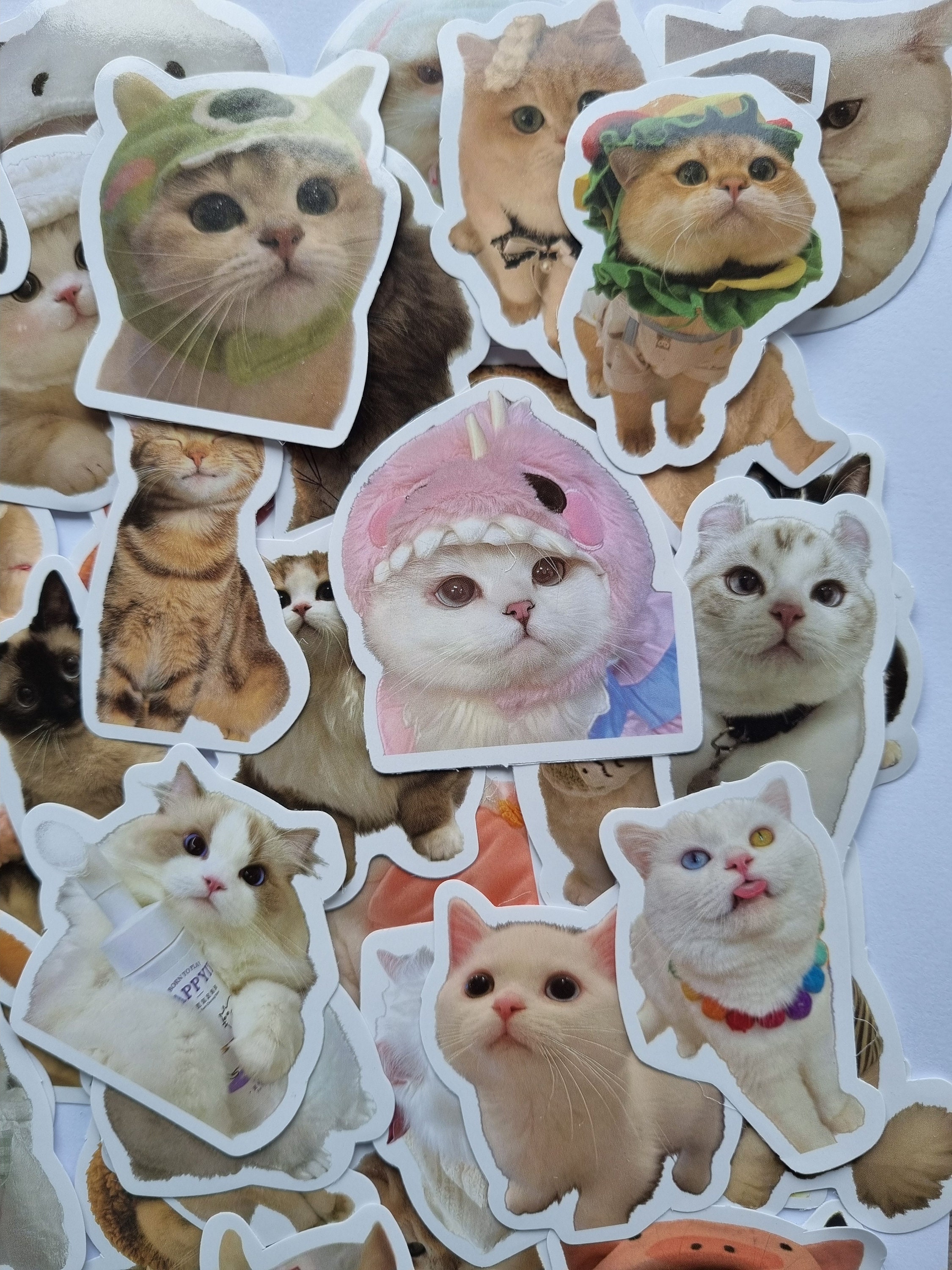 60 Cute Cats Stickers for Scrapbooking,diary,planner,craft,self ...