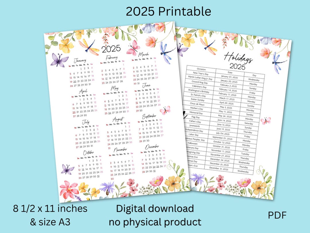 2025 at a Glance Calendar, Dragonfly, Flowers, & Butterfly Watercolor ...