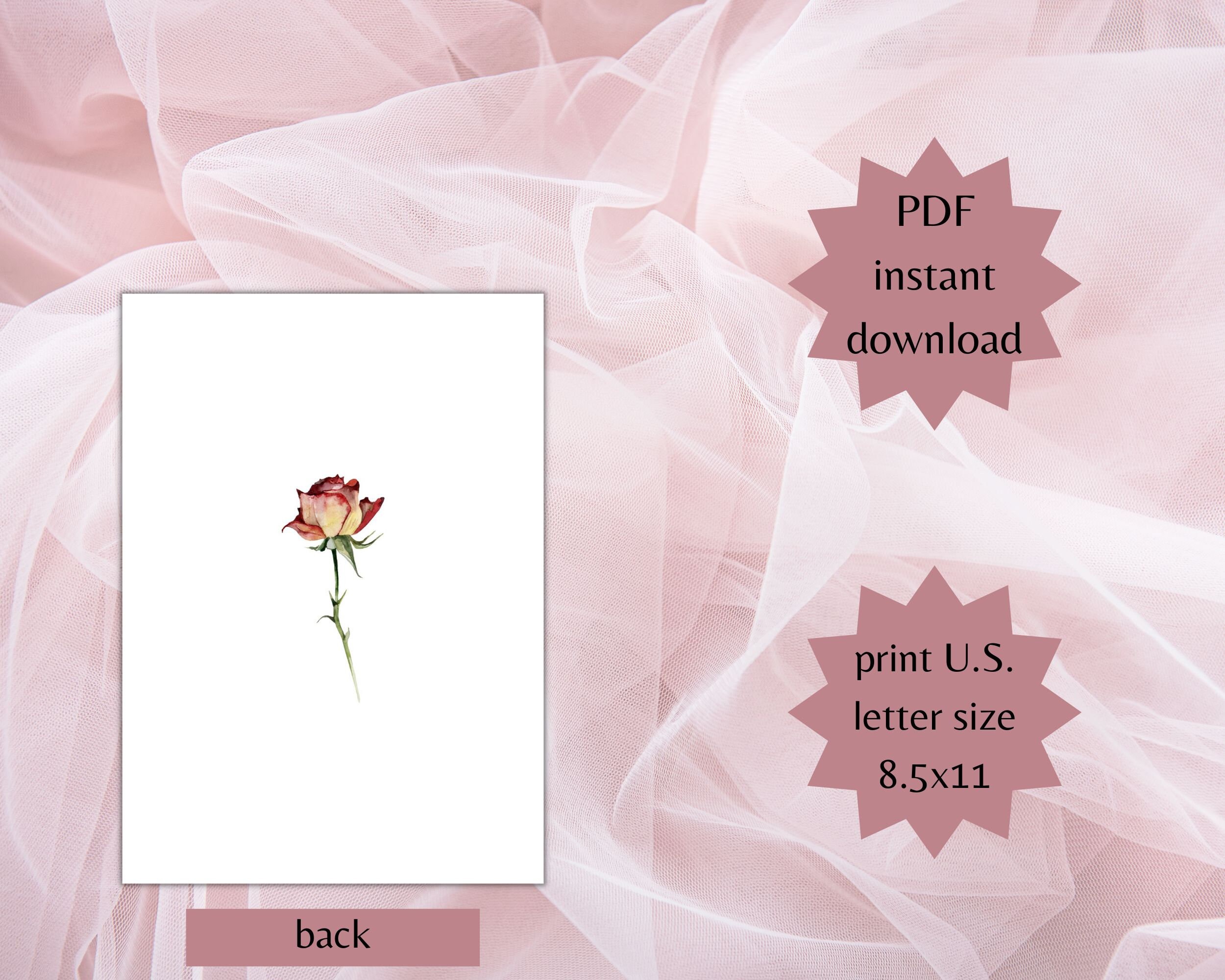 Birthday Card - Greeting Card - Blank Cupcake Card - Etsy