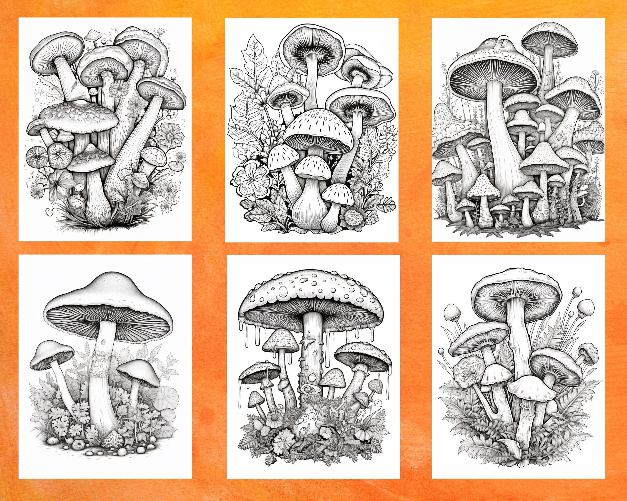 Mushroom Design Coloring Pages 24 Printable Pages Calming Adult ...