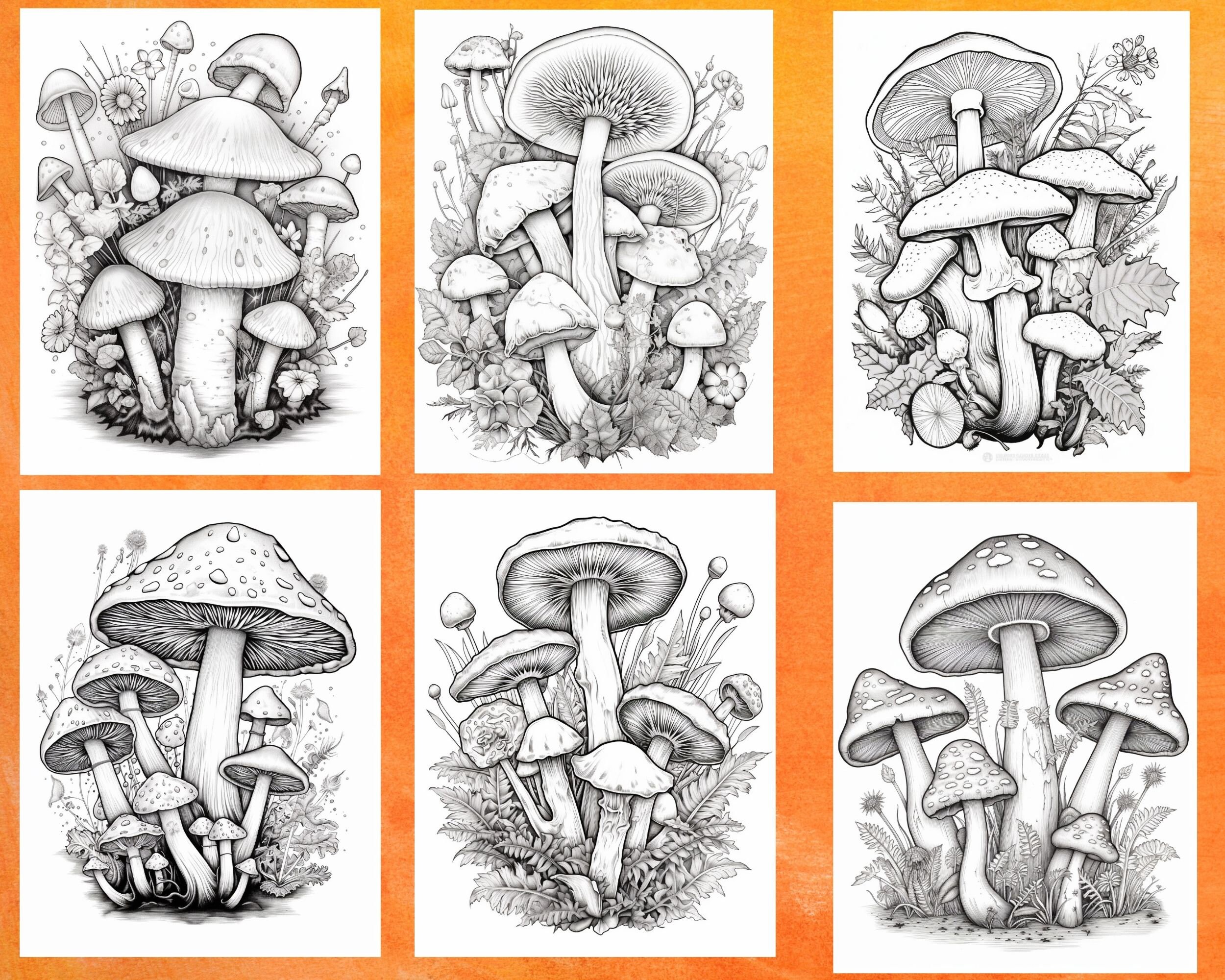 Mushroom Design Coloring Pages - 24 Printable Pages - Calming Adult ...