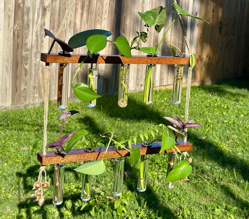 Macrame and Wood Test Tubes for Propagating Plants - Etsy