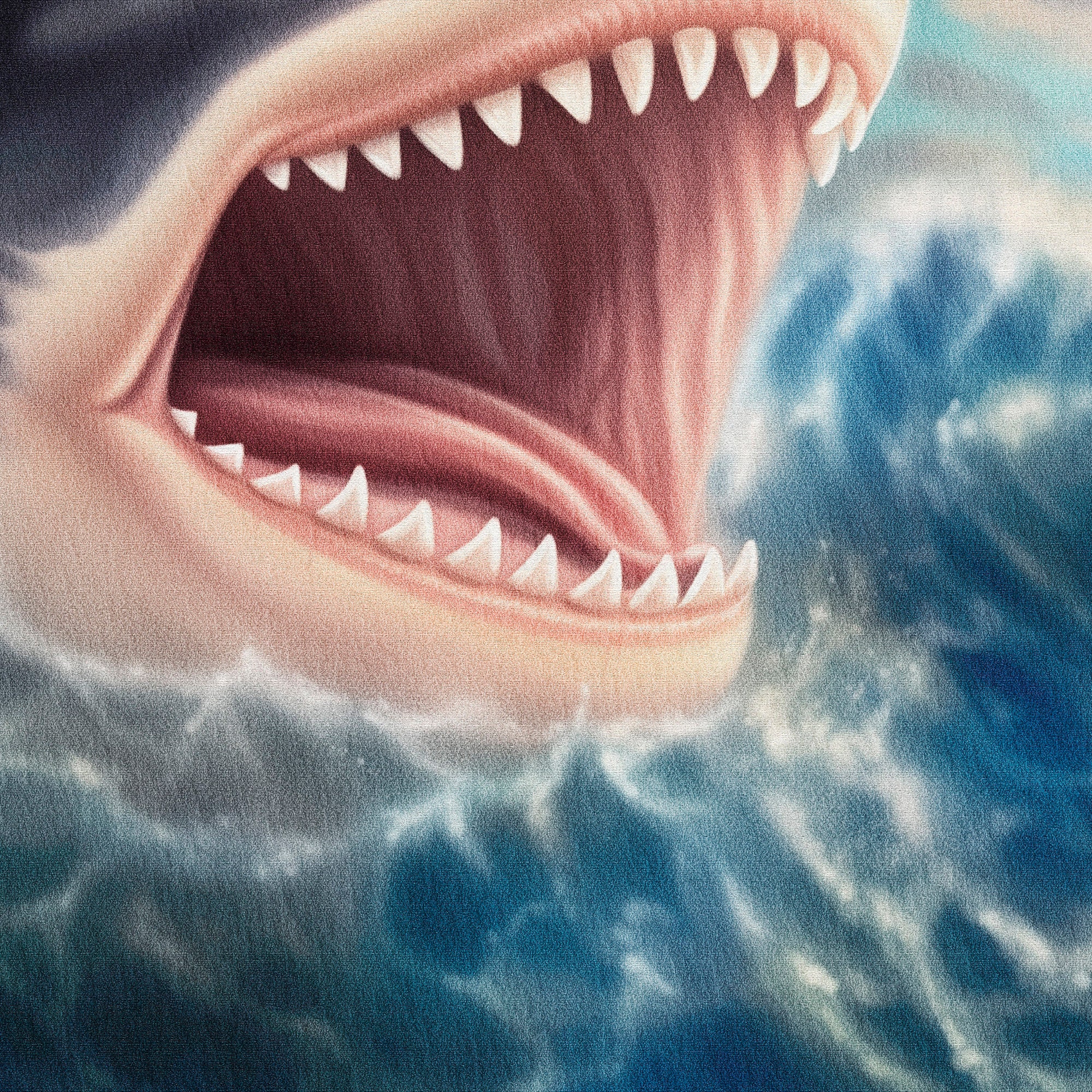 Kitty Surfin’ the Shark Wave - Cat Vs Shark Print Funny Cat Wall Art ...