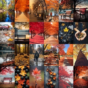 100 Fall Photos A Tribute to Fall's Radiance_ Fall Photography Bundle ...