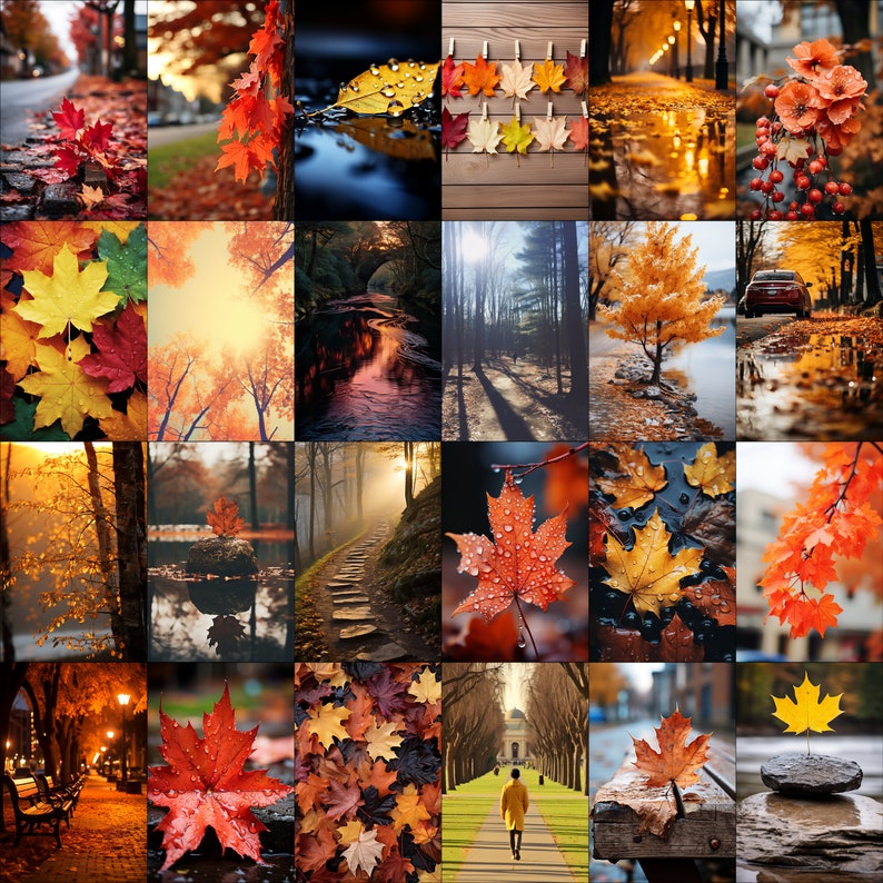 100 Fall Photos A Tribute to Fall's Radiance_ Fall Photography Bundle ...
