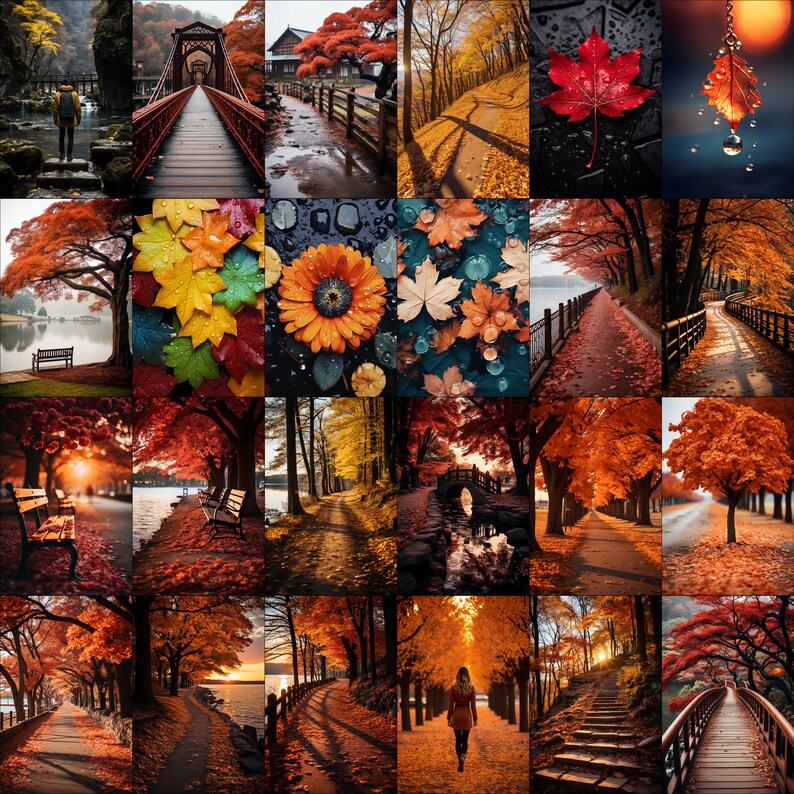100 Fall Photos A Tribute to Fall's Radiance_ Fall Photography Bundle ...