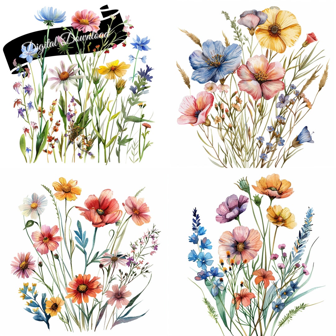 Watercolor Flowers, Wildflowers, Boho Art, Sublimation Designs ...
