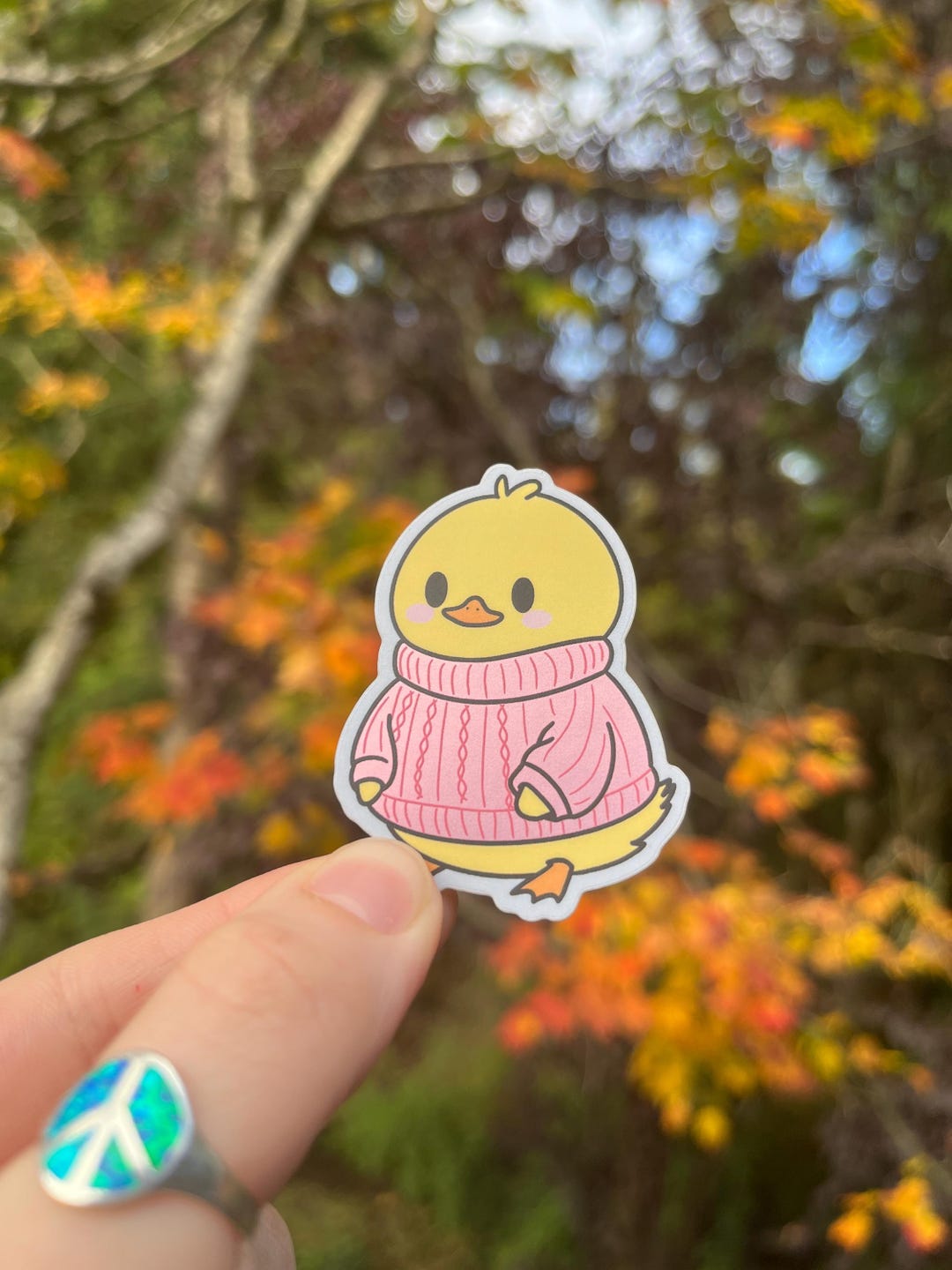 Duck Sticker, Cozy Cute Ducky Stickers, Die Cut Vinyl Decal for ...