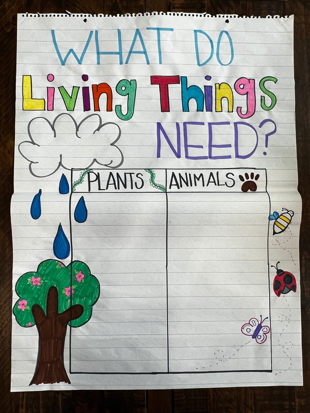 Living Needs Anchor Chart Classroom Anchor Chart - Etsy