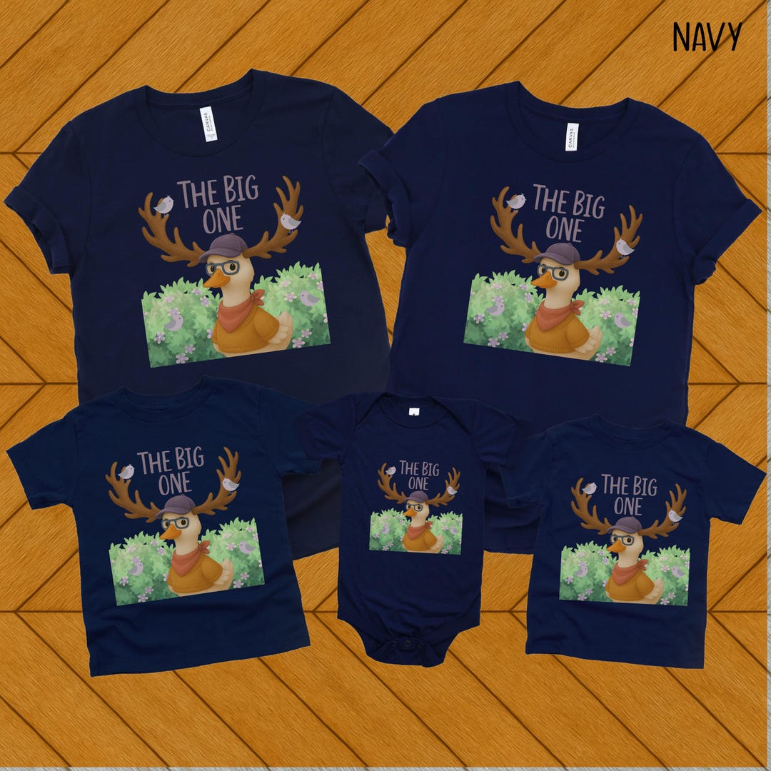 The Big One First Birthday Tshirt, One Silly Goose Tee Shirts, Matching ...