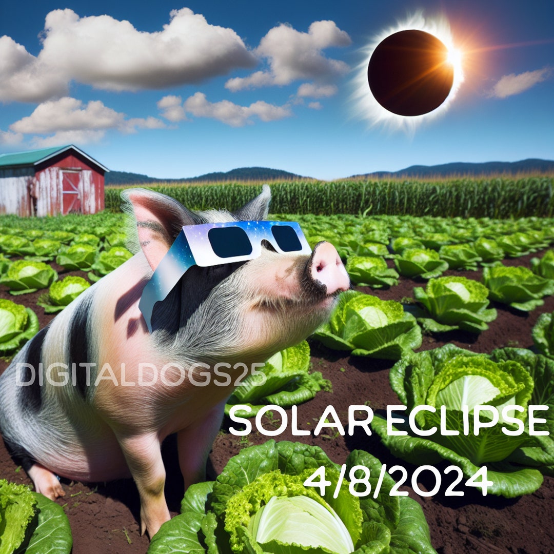 Pig Solar Eclipse PNG, April 8th 2024 Digital Download, Total Solar ...