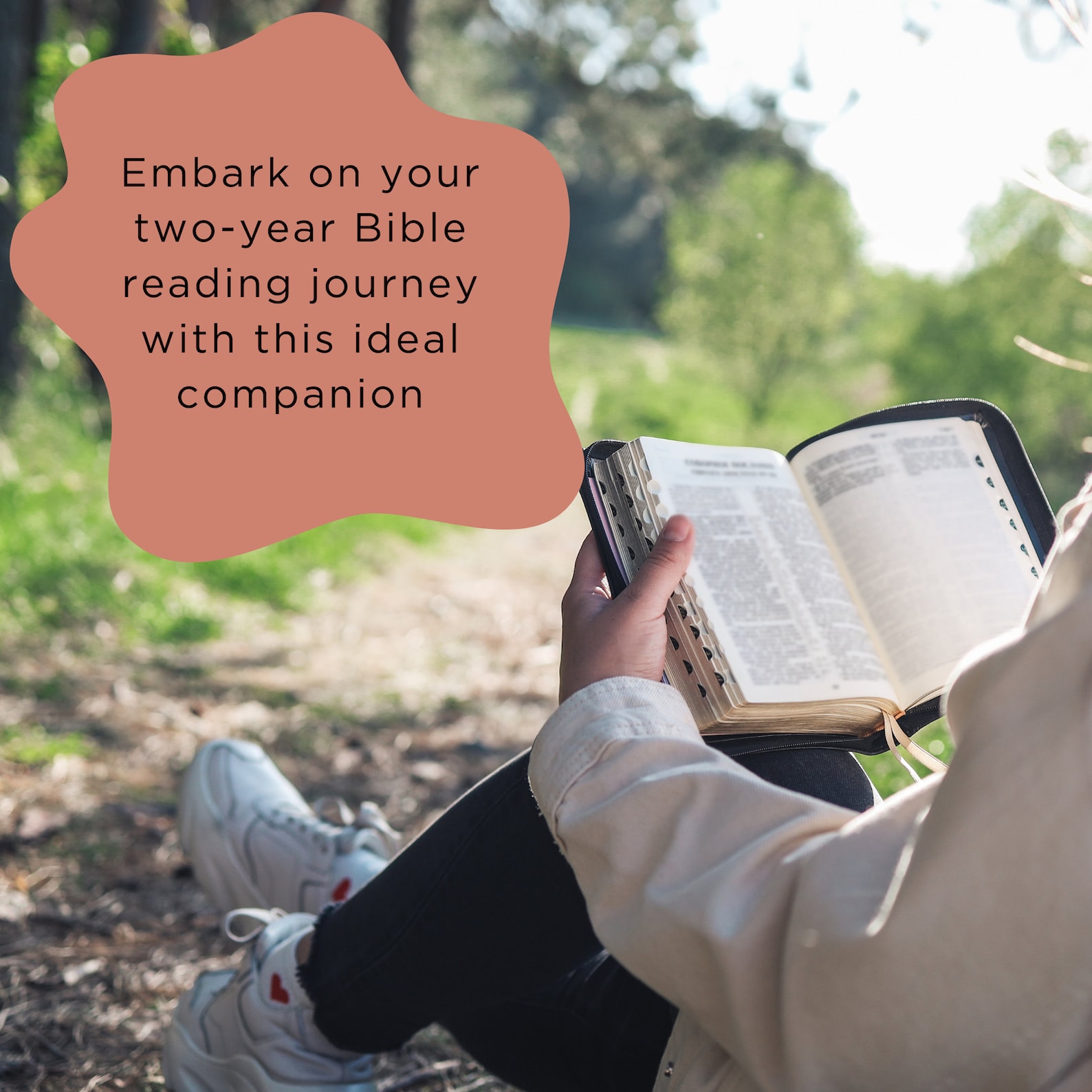 Two Year Bible Reading Plan | 2 Year Bible Reading Plan PDF Printable ...