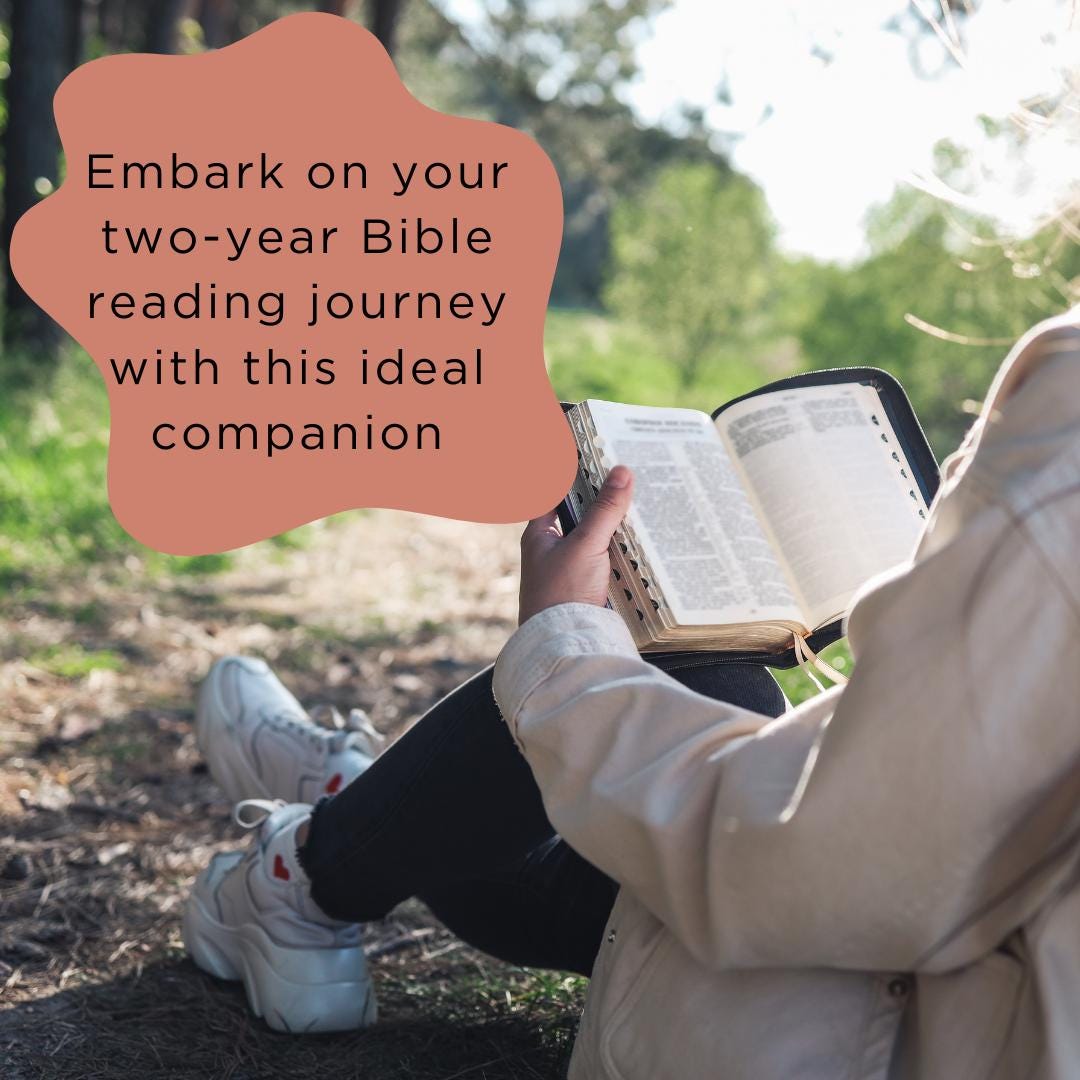 PHYSICAL VERSION 2-year Chronological Bible Reading Plan | Laminated ...