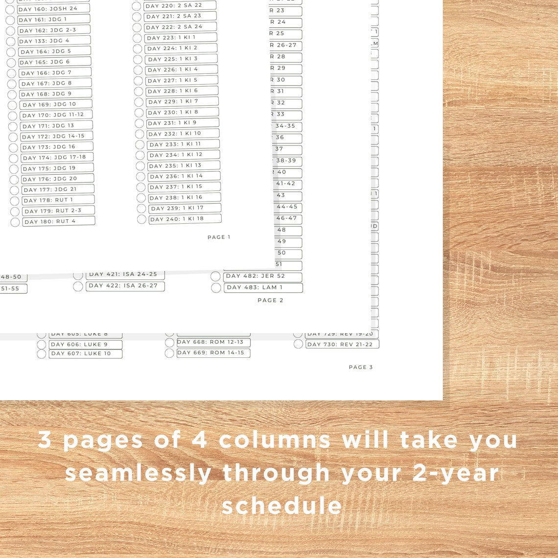 Two Year Bible Reading Plan 2 Year Bible Reading Plan PDF Printable ...