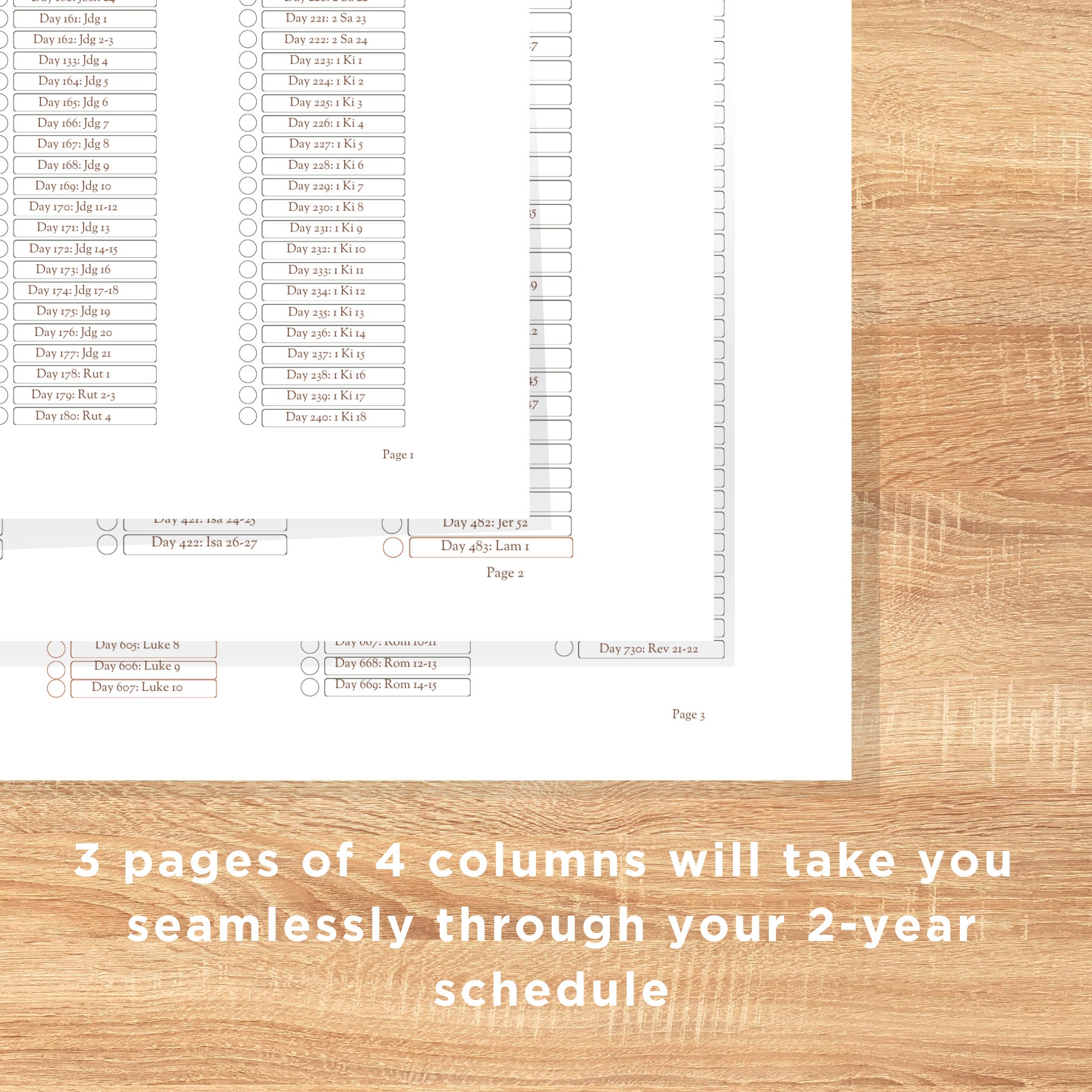 Two Year Bible Reading Plan 2 Year Bible Reading Schedule PDF Printable ...