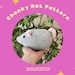 No-sew Crochet Pattern: Chonky Rat Amigurumi Instant Download DIY ...