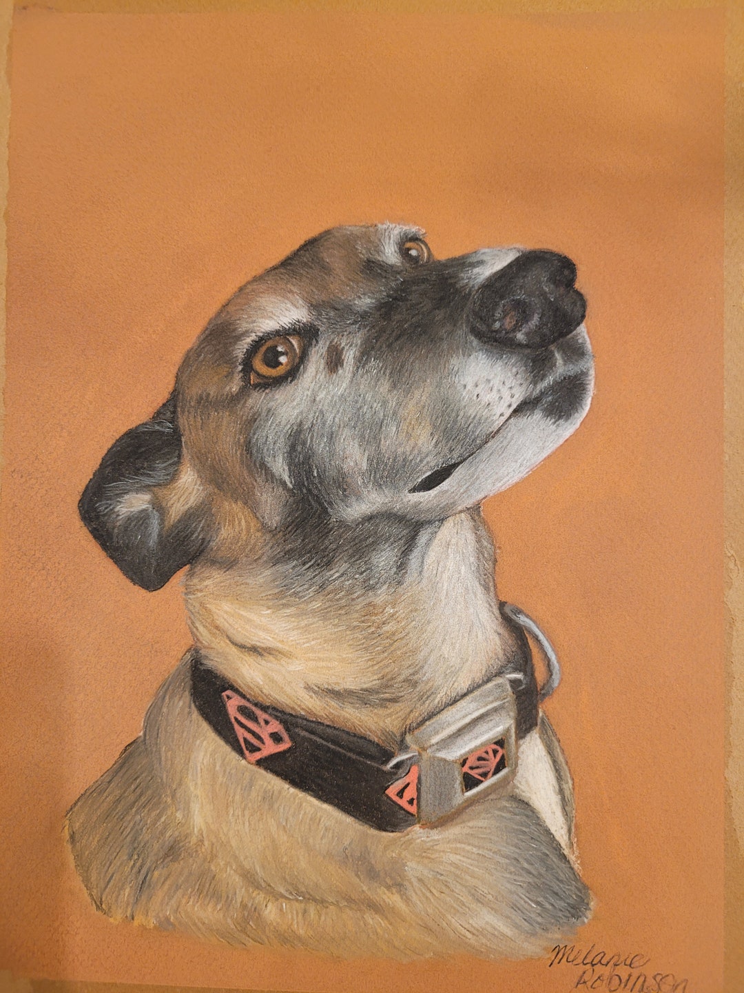 Custom Pastel Hand Drawn Pet Portraits, Pet Parent Gift, Dog Parent ...