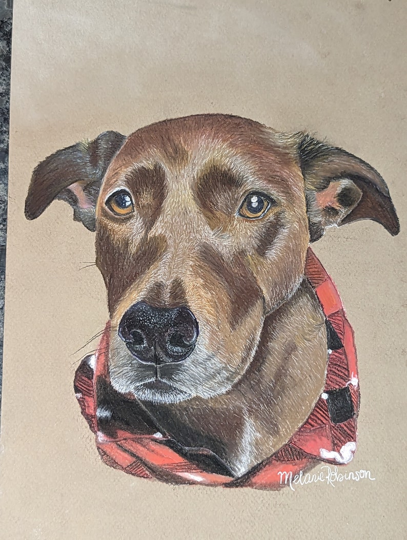 Custom Pastel Hand Drawn Pet Portraits, Custom Hand Drawn Dog Portrait ...