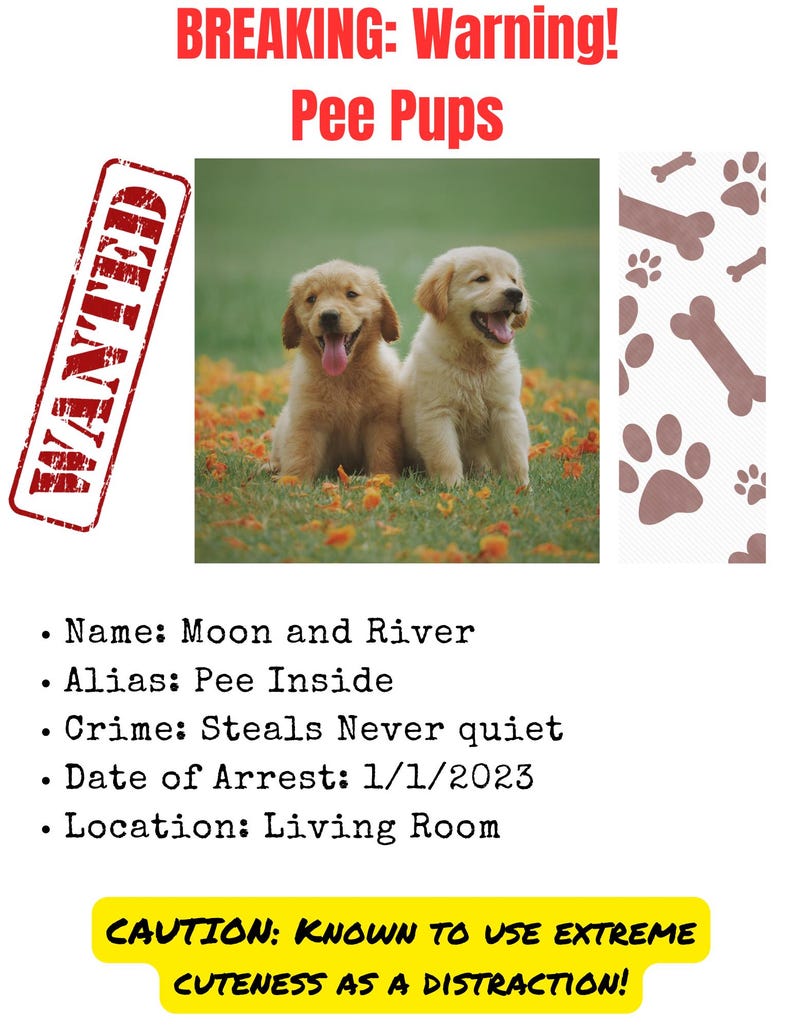 Funny Person Mugshot Template | Persons Fake Police File | Instant ...