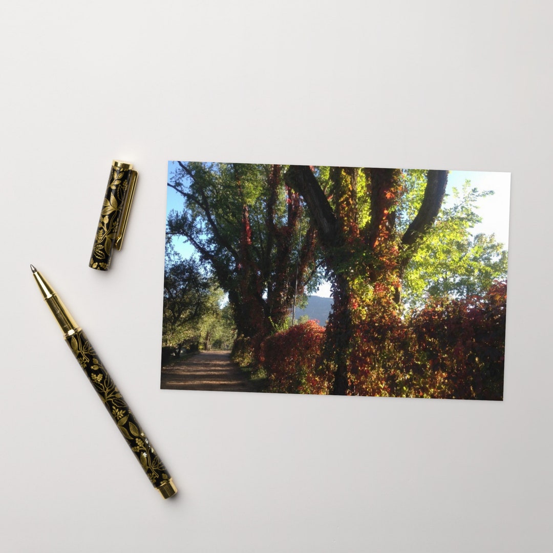 The Path Greeting Card - JVM - Etsy