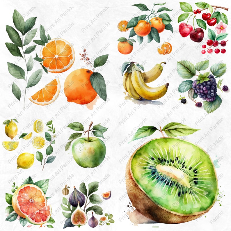 Watercolor Fruit Clipart PNG Fruit Digital Graphics Instant Download ...