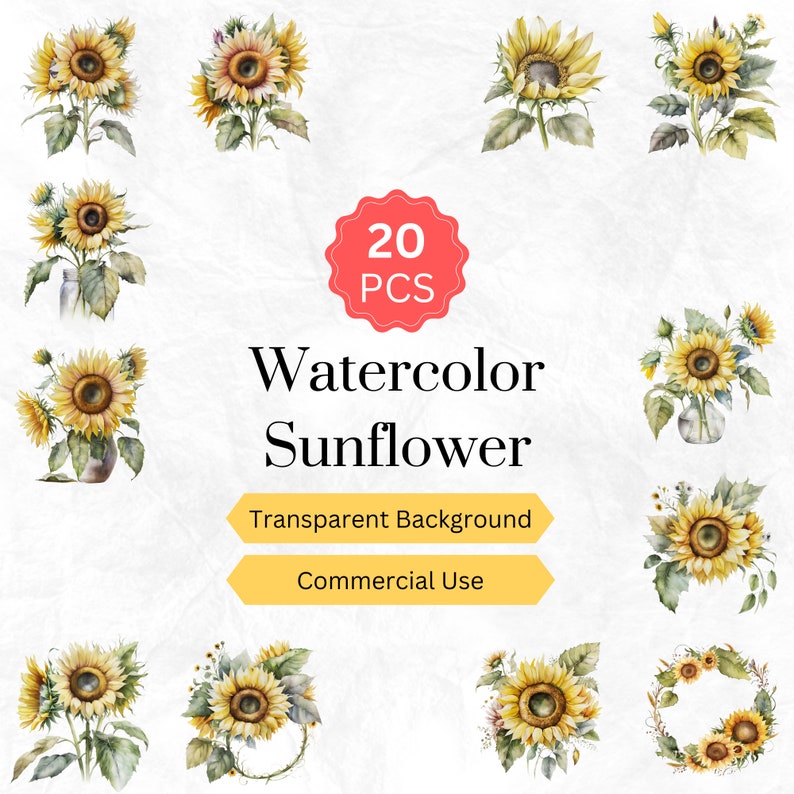 Watercolor Sunflower Clipart PNG Sunflower Digital Graphics Instant ...