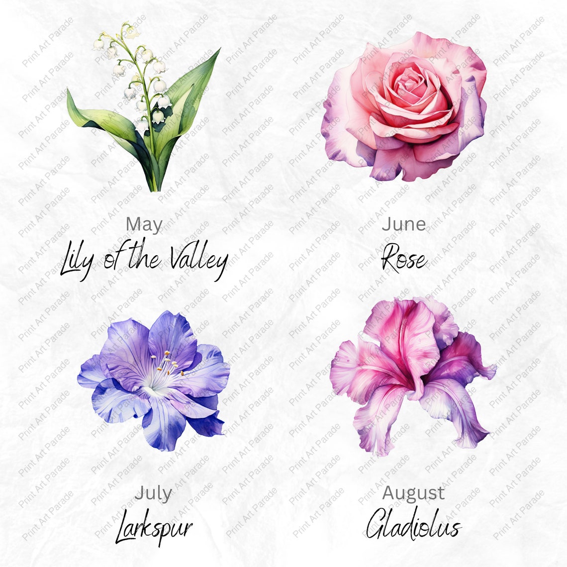 Watercolor Birth Month Flower Clipart PNG Birth Month Floral Bundle ...