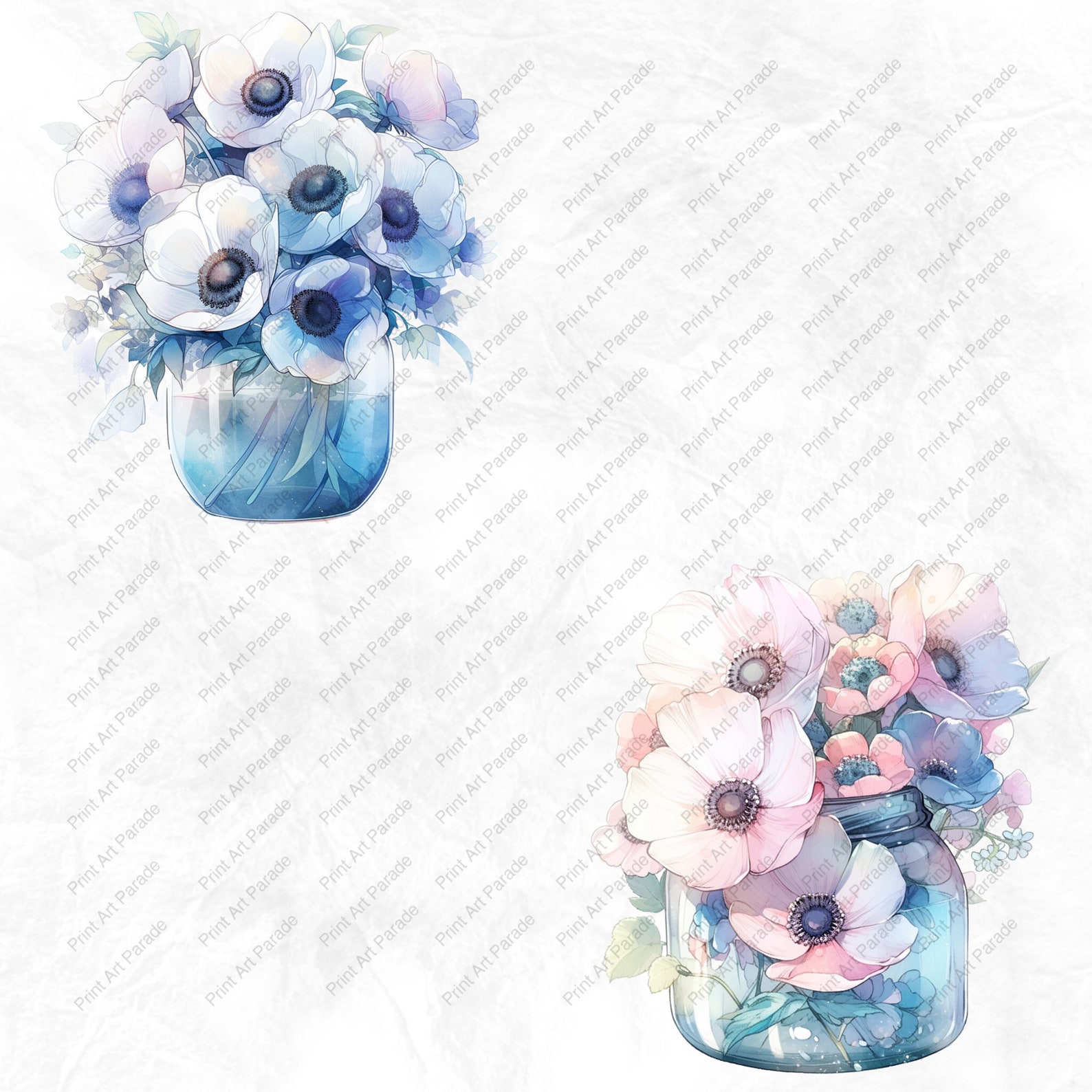 Watercolor Anemone Flower Clipart PNG Anemone Floral Digital Graphics ...