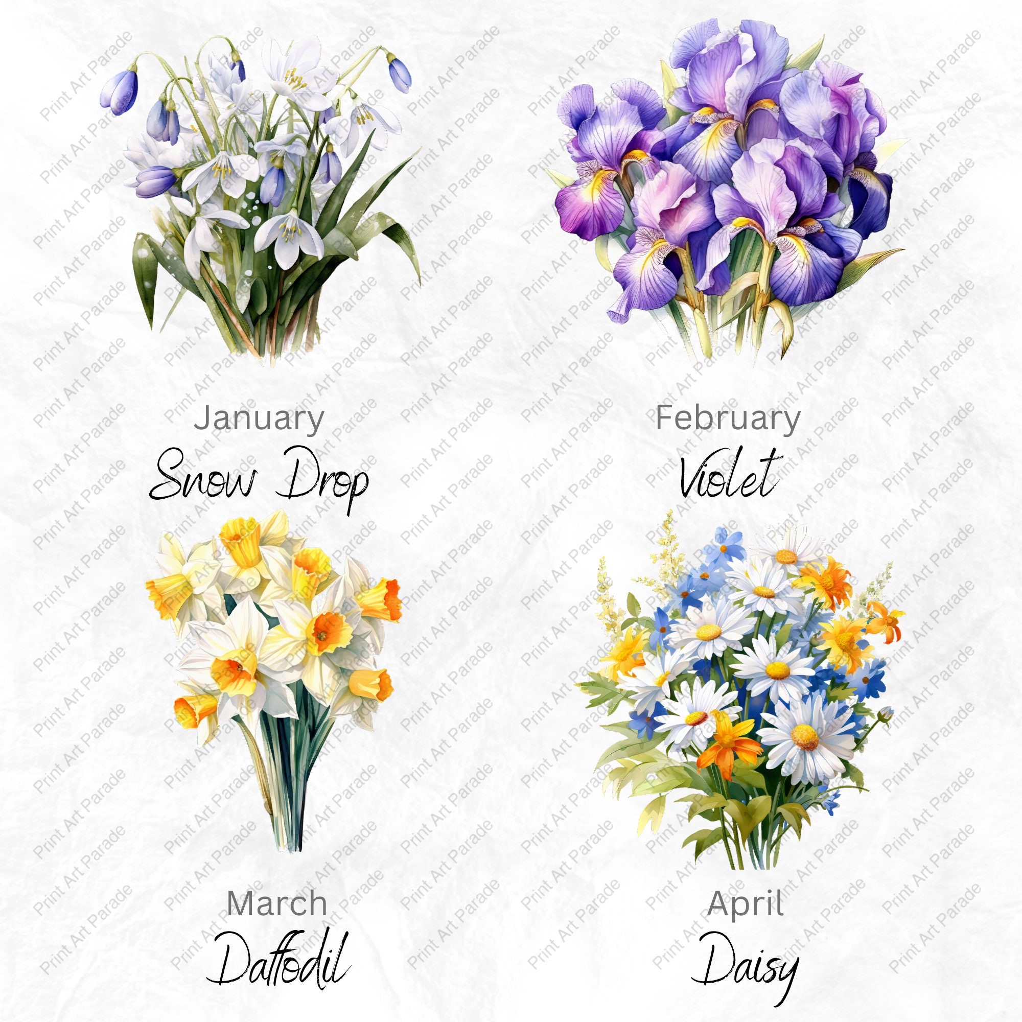 Watercolor Birth Month Flower Clipart PNG Birth Month Floral Bouquet ...