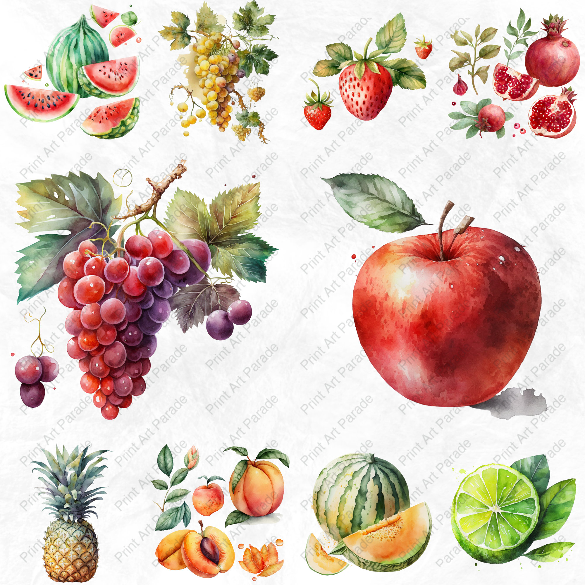 Watercolor Fruit Clipart PNG Fruit Digital Graphics Instant Download ...