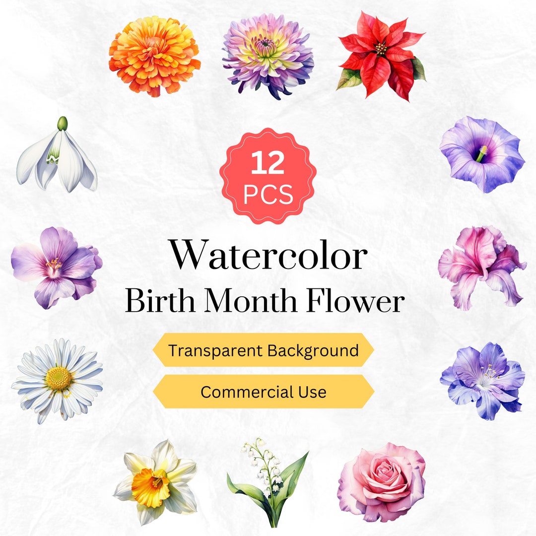 Watercolor Birth Month Flower Clipart PNG Birth Month Floral Bundle ...