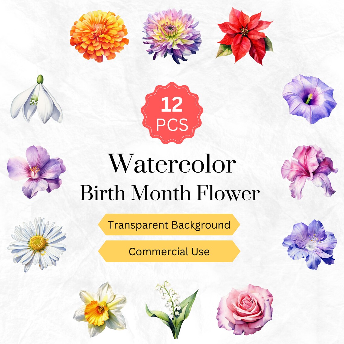 Watercolor Birth Month Flower Clipart PNG Birth Month Floral Bundle ...