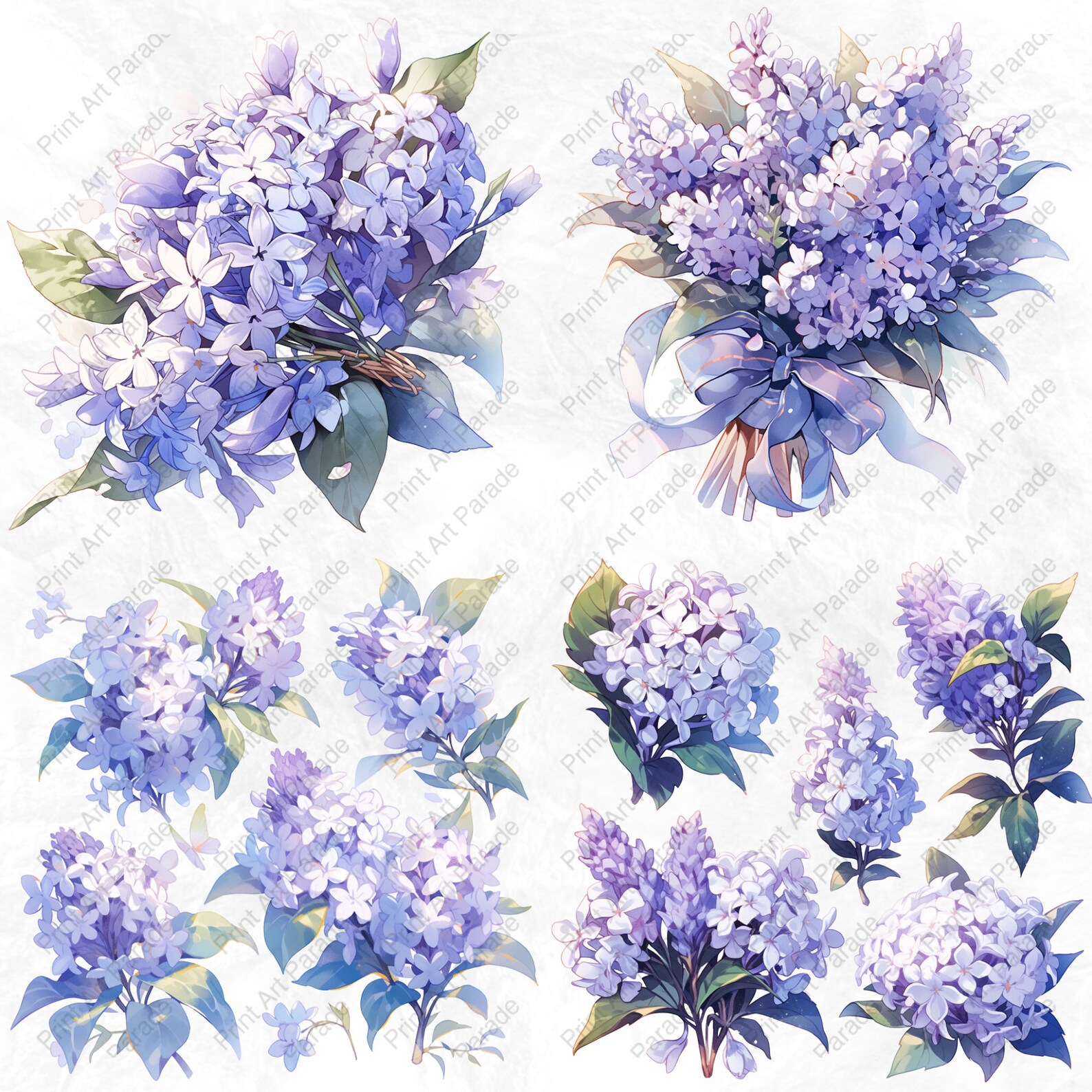 Watercolor Lilac Flower Clipart PNG Lilac Floral Digital Graphics ...