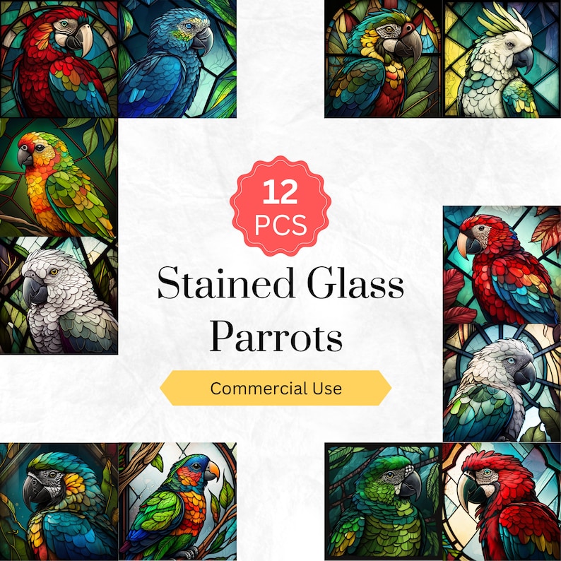 Stained Glass Parrots Clipart PNG Parrot Digital Graphics Instant ...