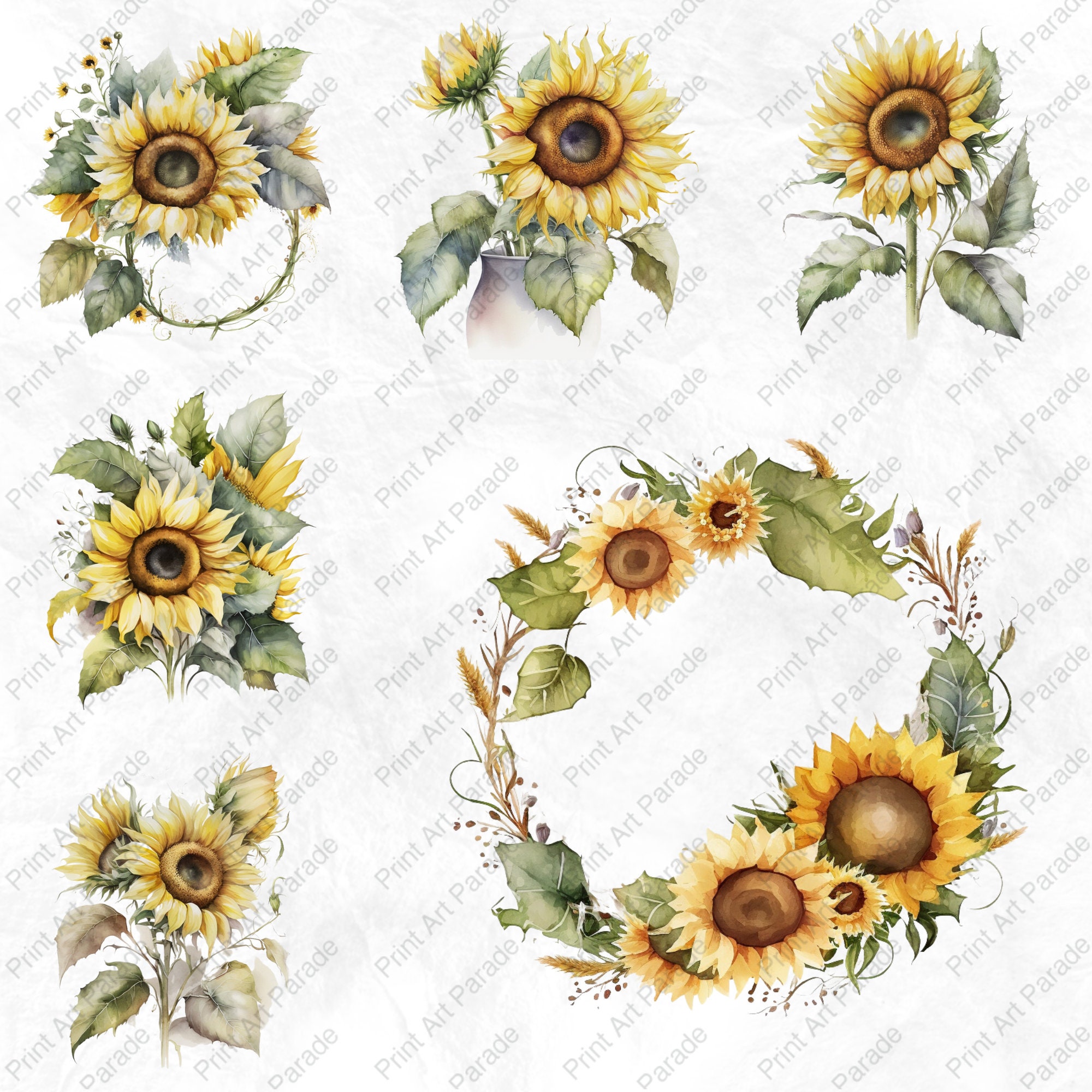 Watercolor Sunflower Clipart PNG Sunflower Digital Graphics Instant ...